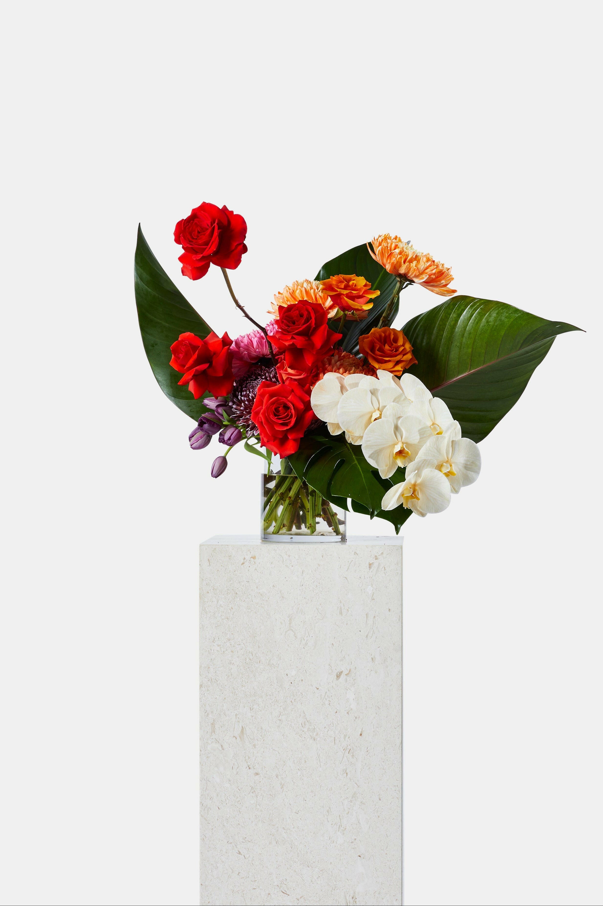 BOLD – The Flower Bar Co.